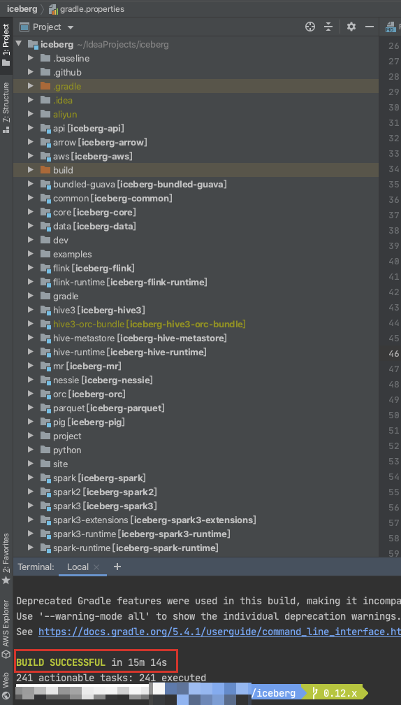 Help, Build iceberg project successfully with master or 0.12.x branch, but no flink-runtime ...