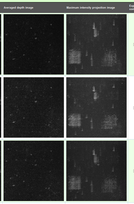 motion correction failure on new mesoscope data · Issue #170 · AllenInstitute/ophys_etl ...