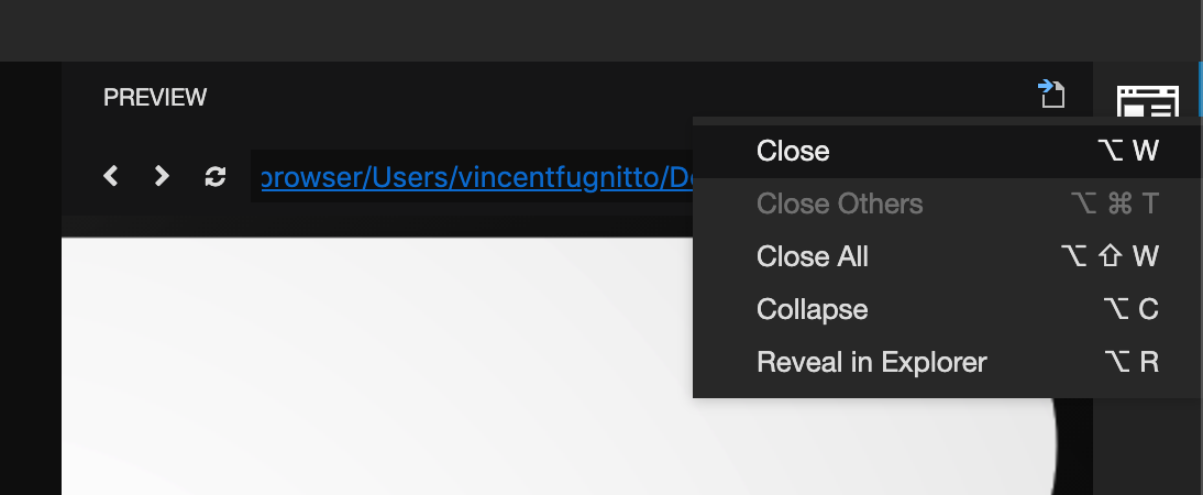 Missing button/context menu to close minibrowser side area · Issue #6496 · eclipse-theia/theia ...
