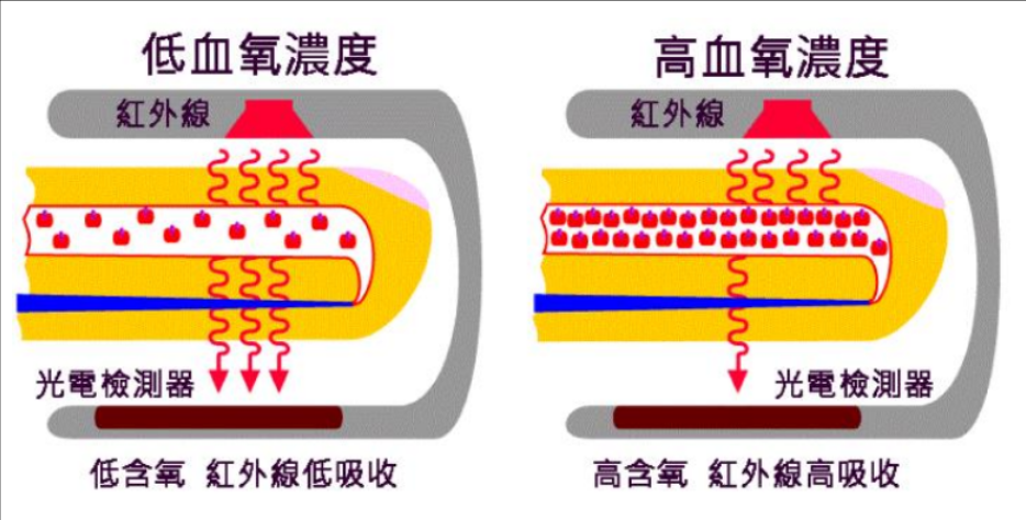 GitHub - youjunjer/ESP32-MAX30102