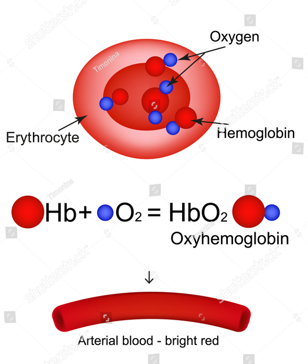 GitHub - youjunjer/ESP32-MAX30102