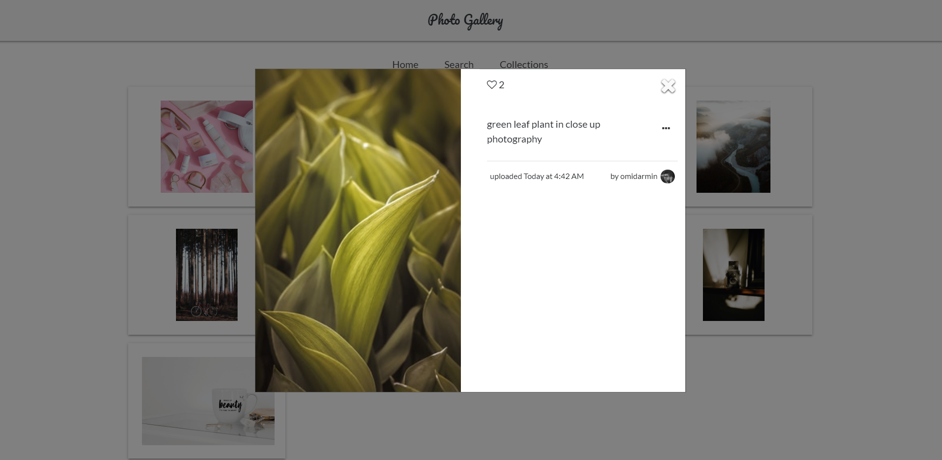 GitHub - MoiOcanas/photo-gallery: Photo gallery using unsplash API. Made with react, boostrap ...