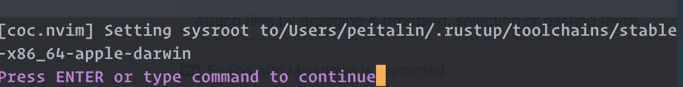 Disabling Startup Logs · Issue 24 · Neoclide Coc Rls · Github
