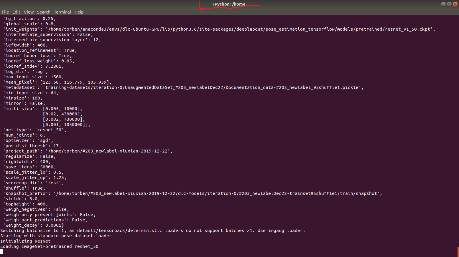 Gpu Not Used How To User Docker · Issue 546 · Deeplabcutdeeplabcut · Github