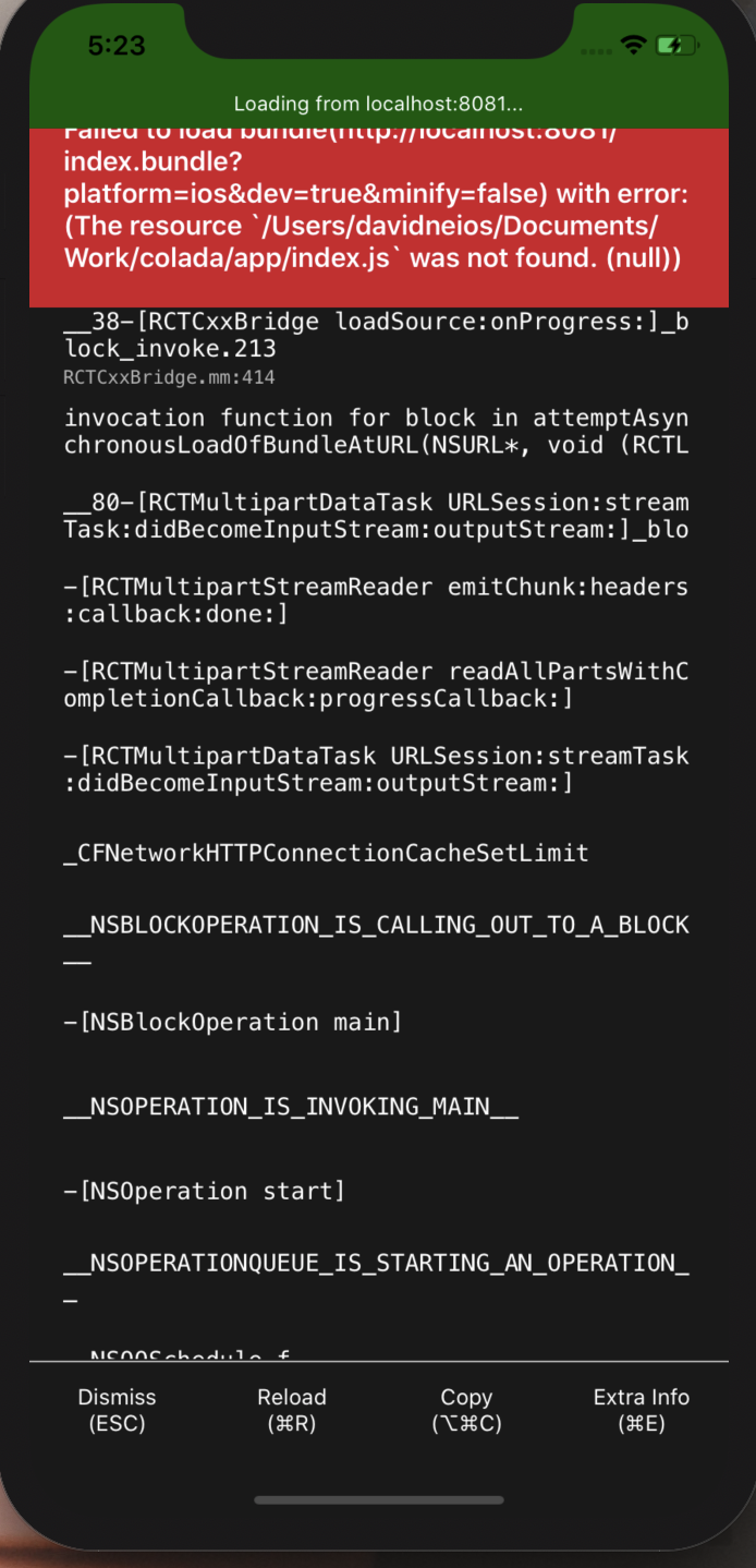 Bare workflow ios build fail after creating project - Ts · Issue #6297 ...