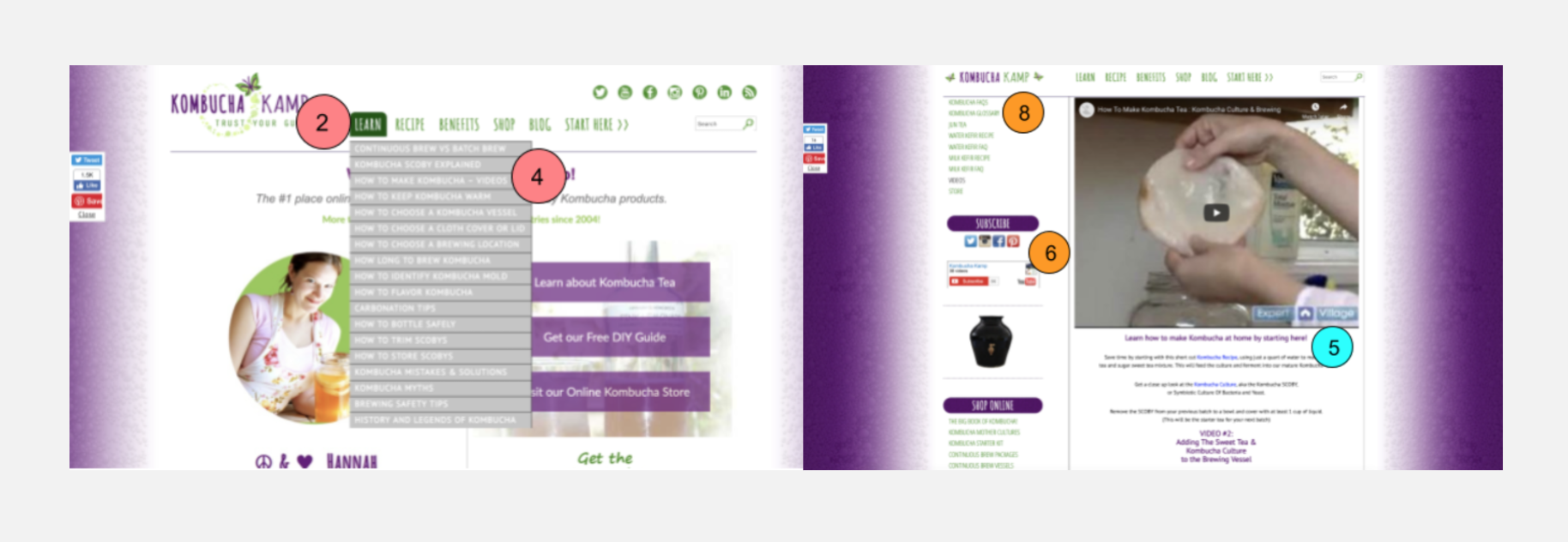 Research project for a kombucha site · GitHub