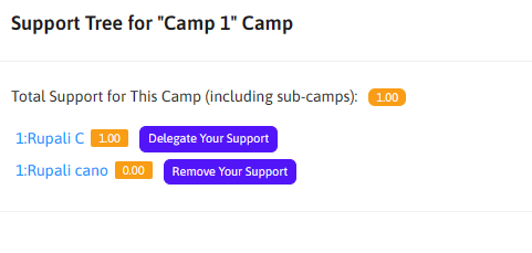 Camp with 2 direct supporters : only the first camp supporter can see ...