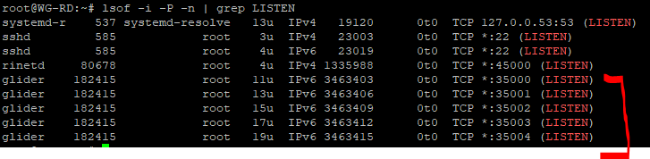 Multiple Listeners Issue · Issue #259 · nadoo/glider · GitHub