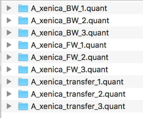 Truncating directory names in each subdirectory · Issue #150 · osfclient/osfclient · GitHub