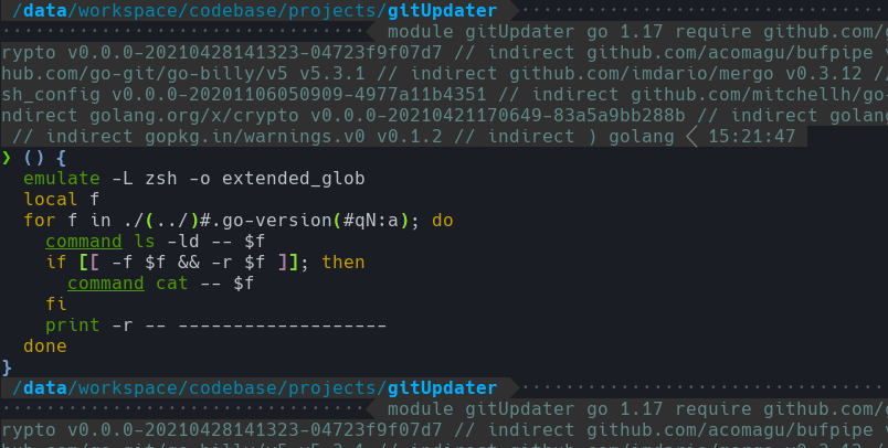 The goenv segment shows the whole content of the go.mod file · Issue #1653 · romkatv ...