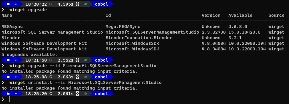[Package Issue]: Package.Identifer · Issue #66397 · microsoft/winget-pkgs · GitHub