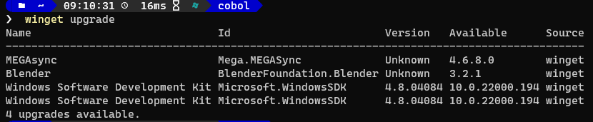 [Package Issue]: Package.Identifer · Issue #66397 · microsoft/winget-pkgs · GitHub