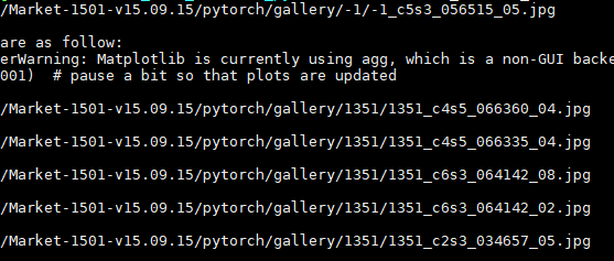 Problem about the demo.py · Issue #138 · layumi/Person_reID_baseline_pytorch · GitHub