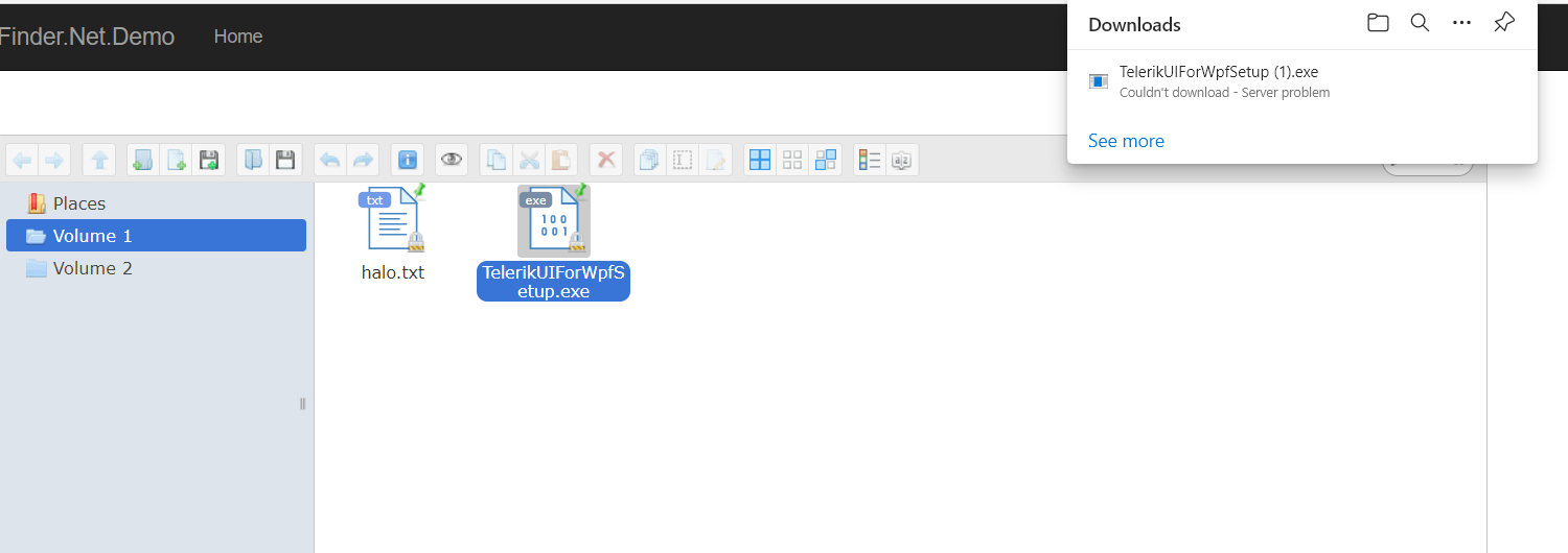"Download single file" does not show an error popup when the server returns an error result ...