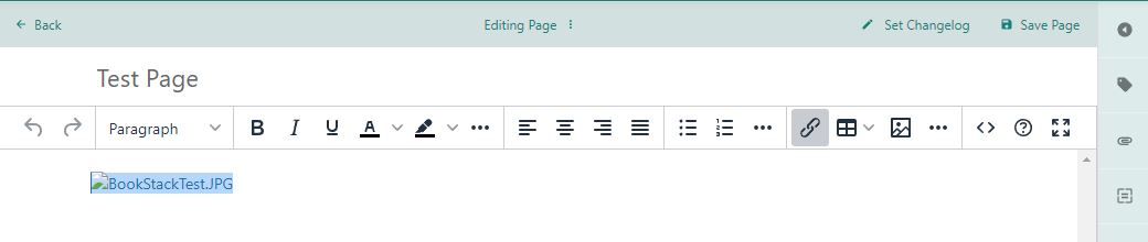 Uploaded Images Show as Placeholder · Issue #3651 · BookStackApp/BookStack · GitHub