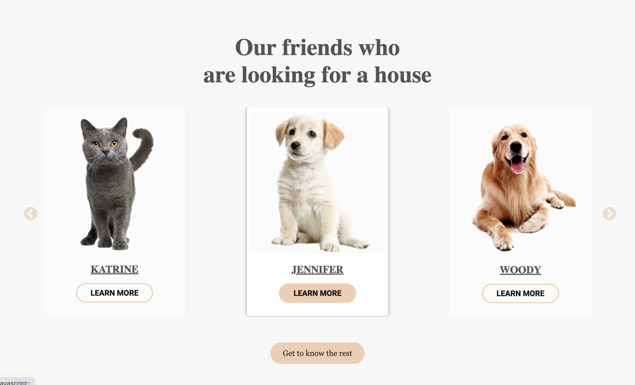 GitHub - Tanny-Griz/animal-shelter