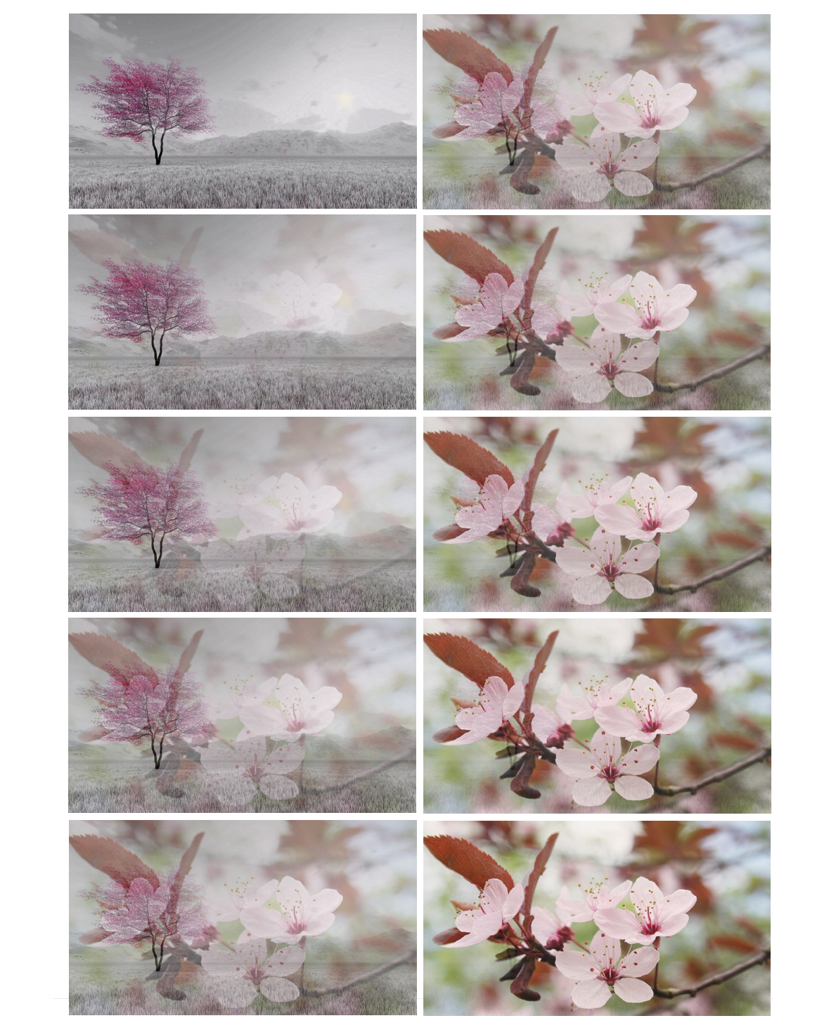 GitHub - Khawlah-Ahmed/Image-Blending-OpenCV: Two images are blended ...