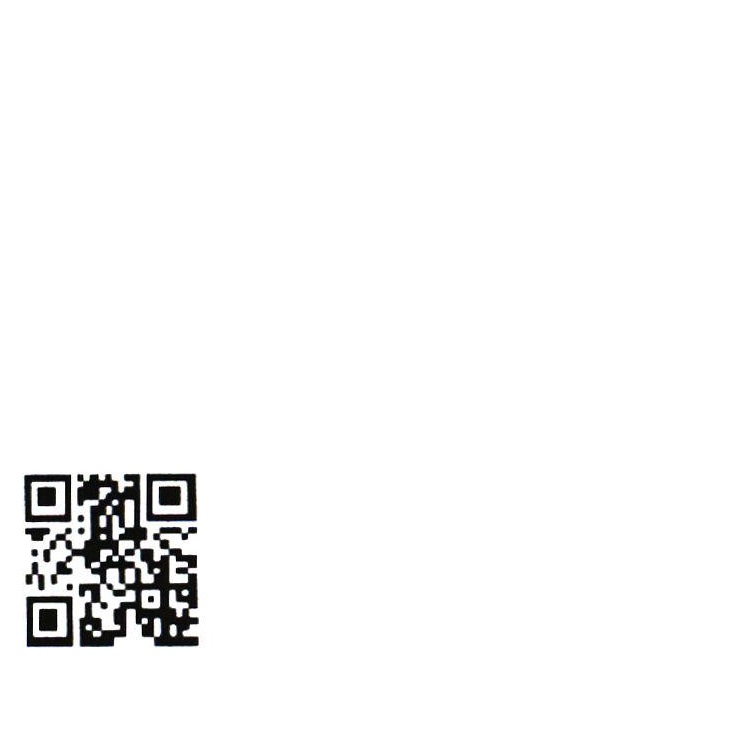 Not decode qrcode · Issue #1407 · zxing/zxing · GitHub