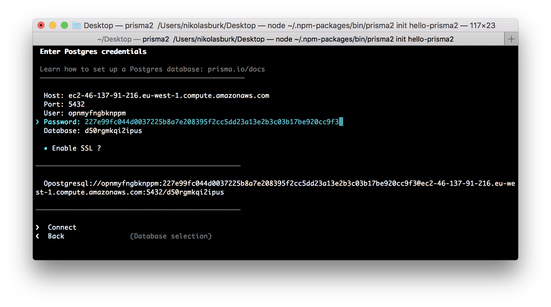 Text In Cli Gets Overridden · Issue 72 · Prismaprisma · Github