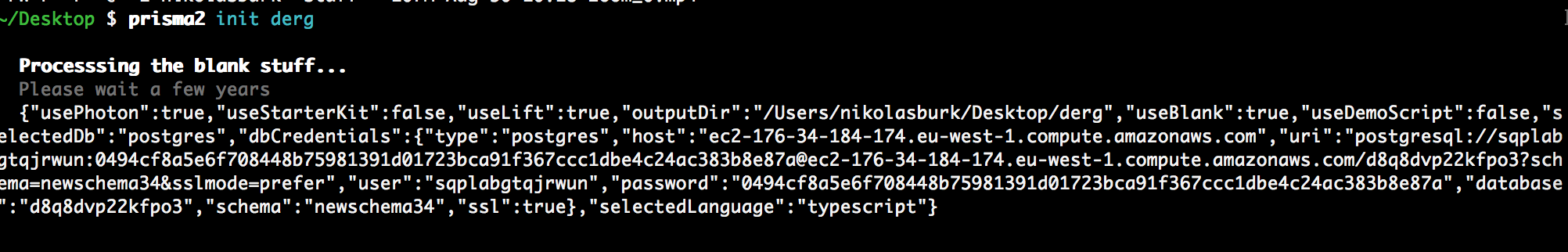 Can't select `Just the Prisma schema` option in `Blank project` flow during `prisma2 init ...