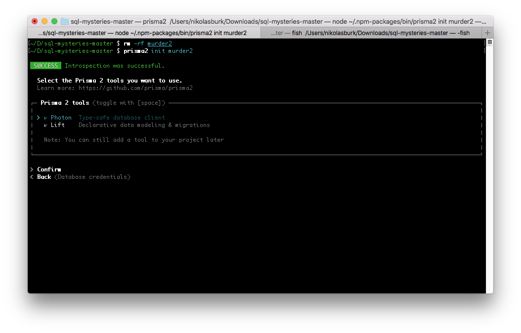 Introspection Seems To Have Generated A Prisma Schema But Its Not