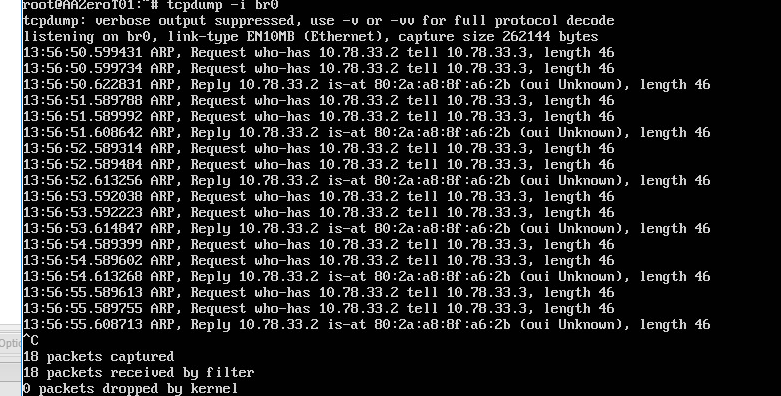 OSPF over ZeroTier · Issue #798 · zerotier/ZeroTierOne · GitHub