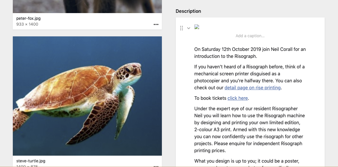 Can't include images · Issue #112 · getkirby/editor · GitHub