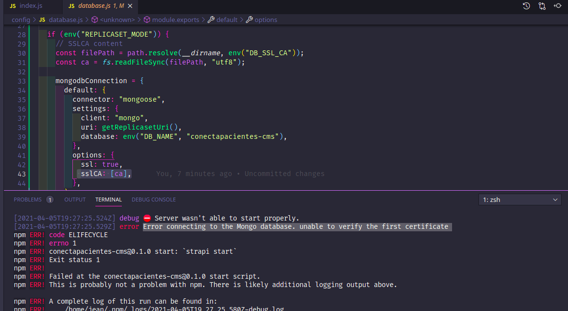 sslCA in strapi-connector-mongoose · Issue #9962 · strapi/strapi · GitHub