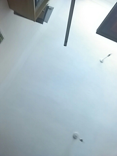 Beta 3: ERROR:flutter/lib/ui/painting/codec.cc(89) when loading some ...