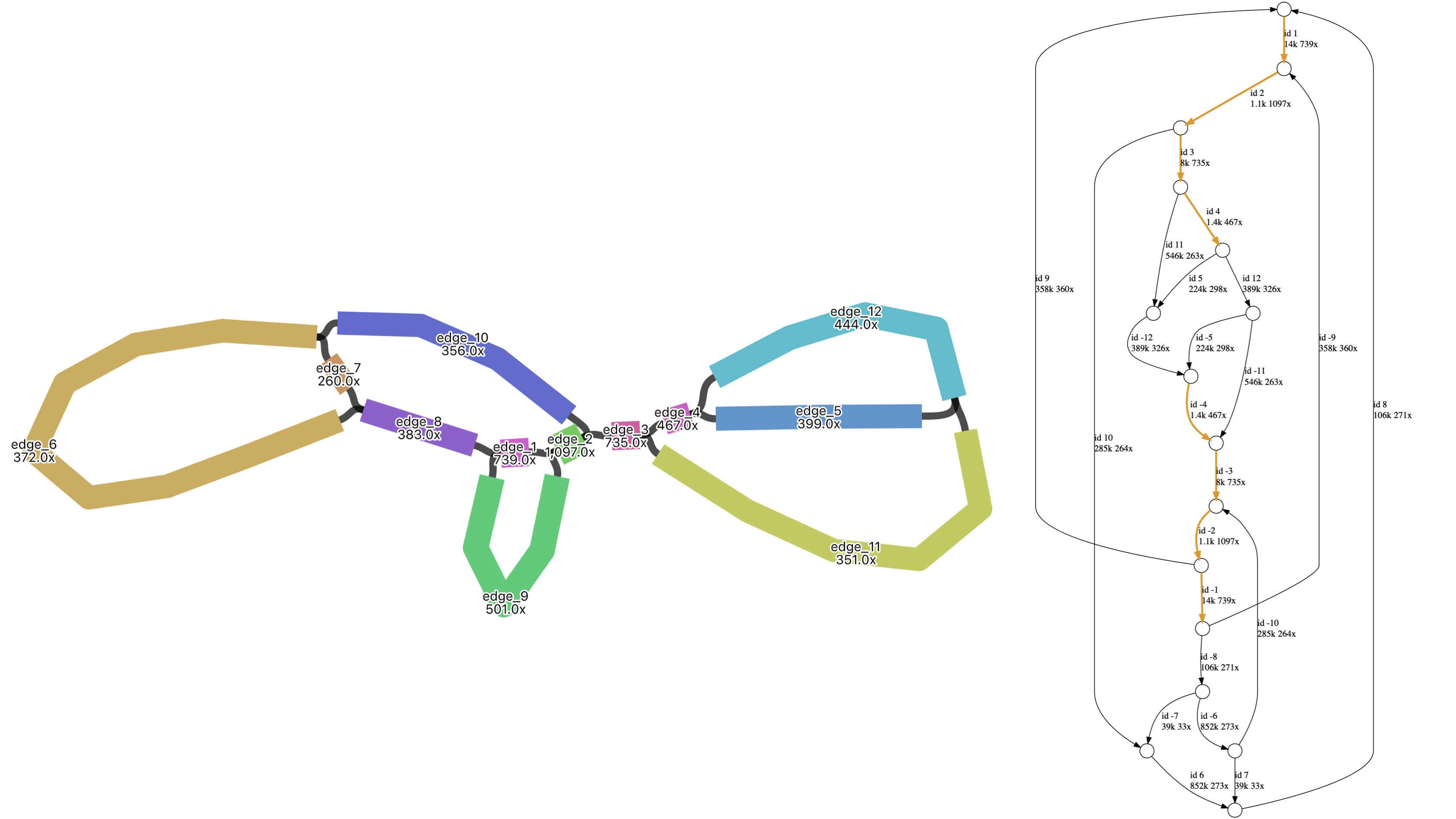 Inconsistent depths between GFA and GV? · Issue #597 · mikolmogorov ...