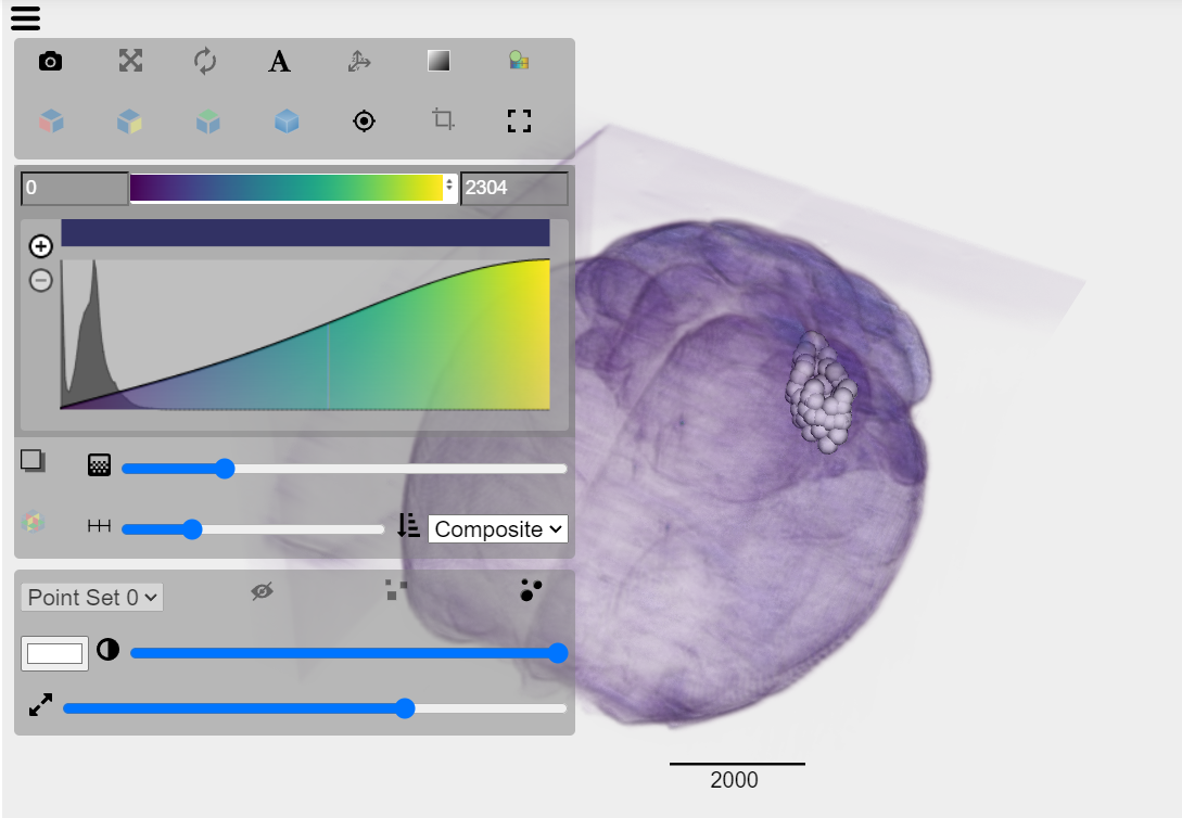 Cannot overlay point set on image · Issue #606 · InsightSoftwareConsortium/itkwidgets · GitHub