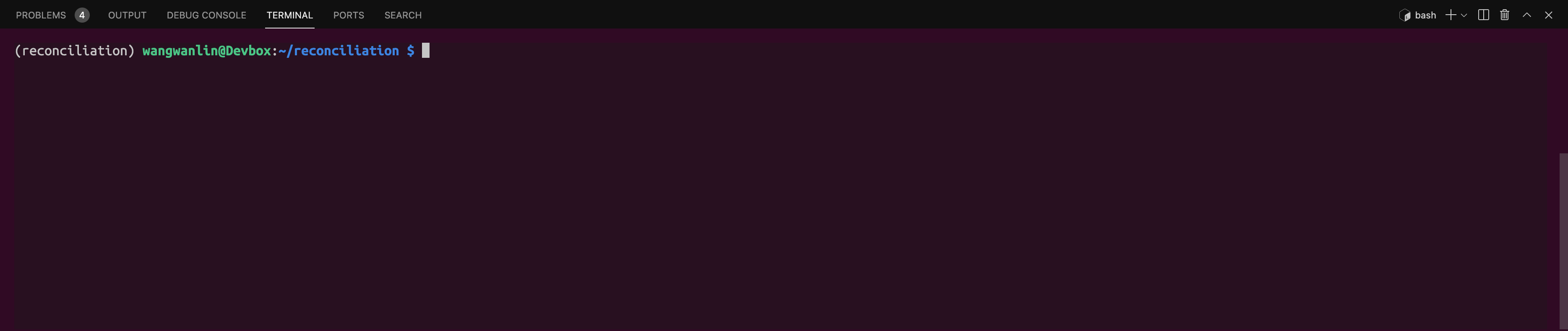 There're two different colors when using terminal with customize ...