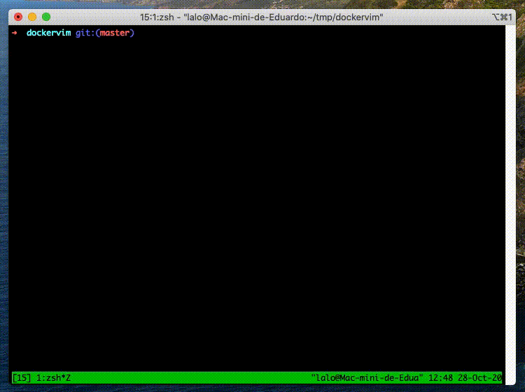GitHub - eduardoarandah/docker-vim: Run vim in a docker container ...
