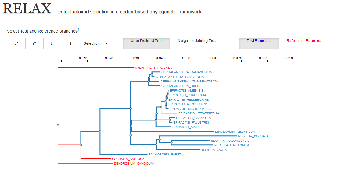 Recurrent error with RELAX · Issue #813 · veg/hyphy · GitHub