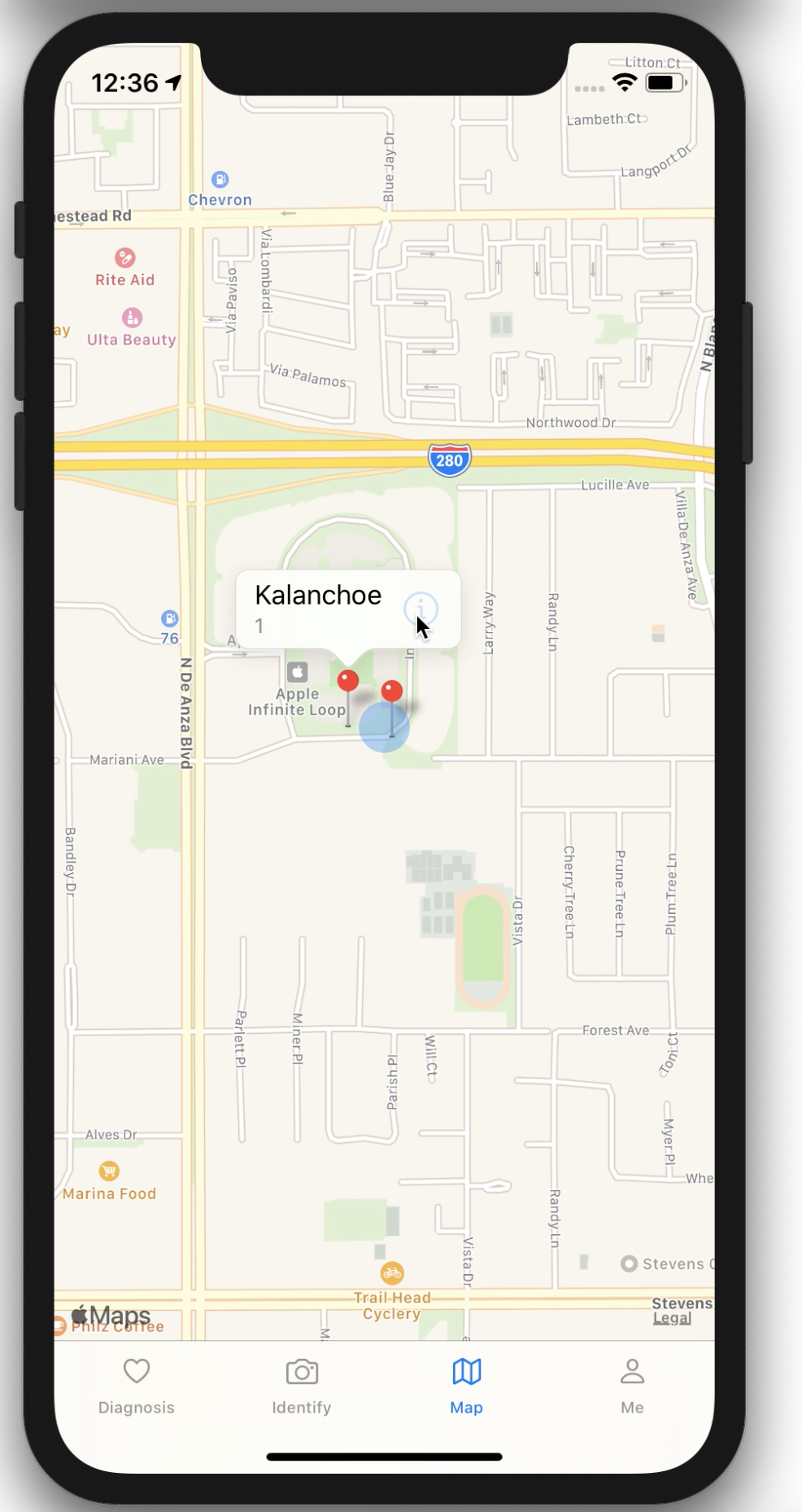GitHub - sydnieec/Blossom: 🌸Plant Identifier and Care App