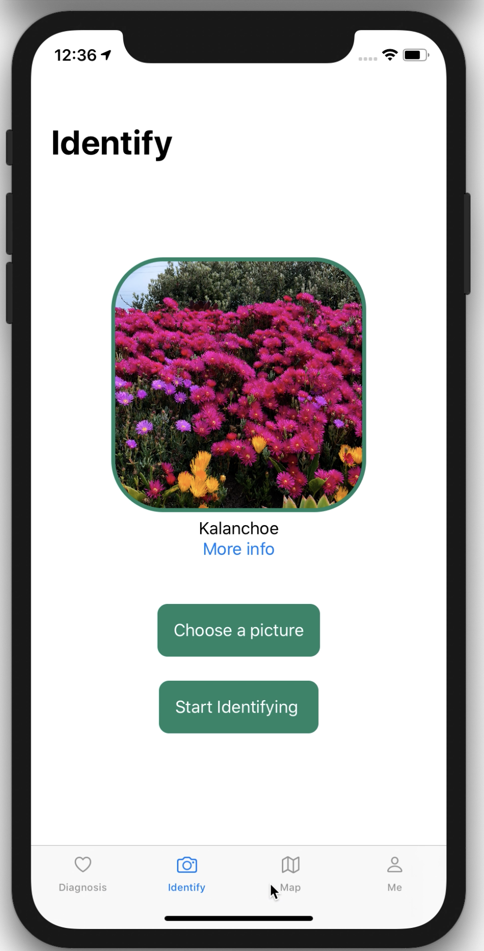 GitHub - sydnieec/Blossom: 🌸Plant Identifier and Care App