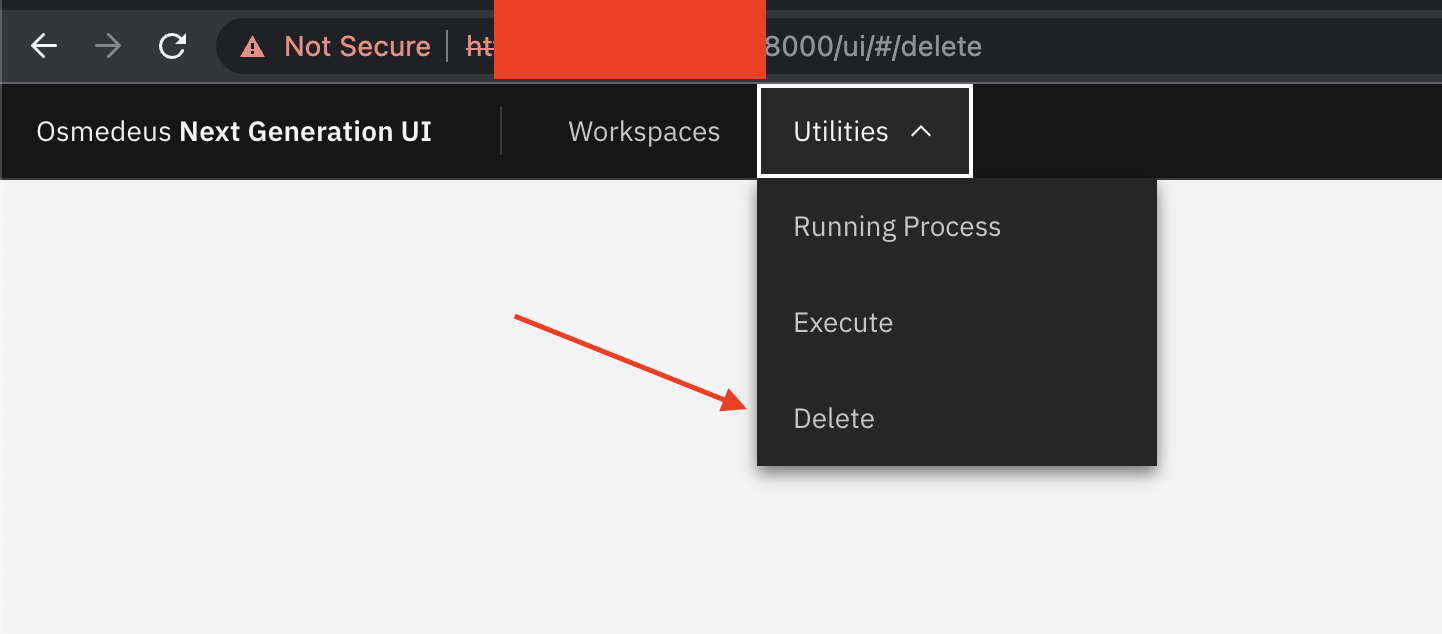 There is a problem with the delete interface in the ui · Issue #252 · j3ssie/osmedeus · GitHub