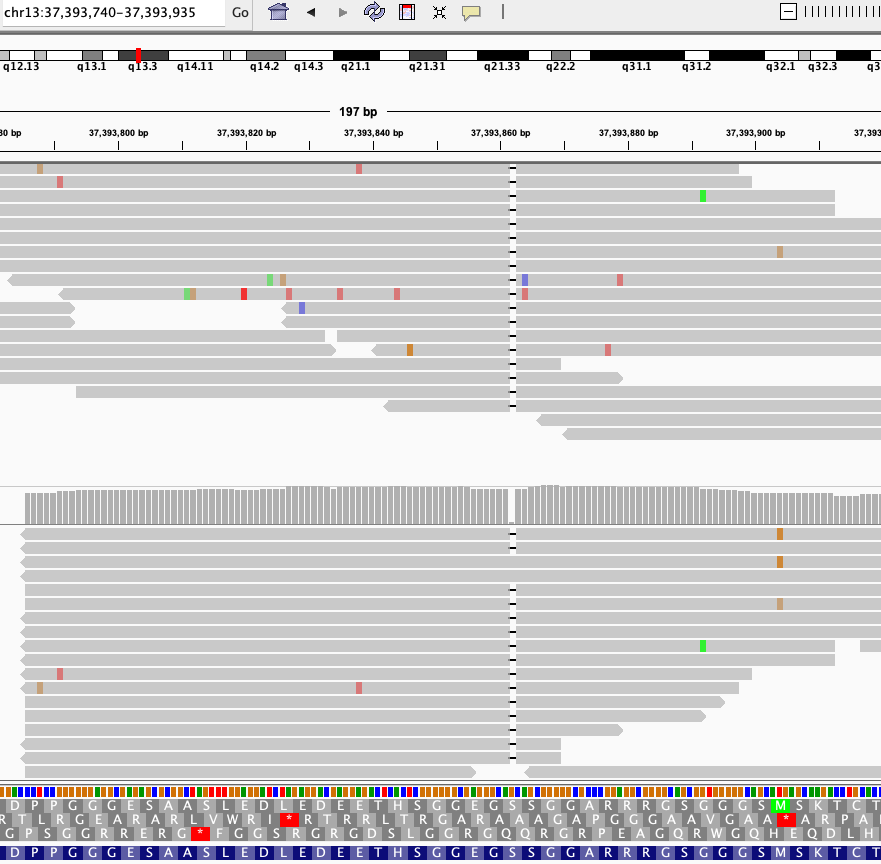 Missing a 1-bp deletion comparing to GATK (potential denovo variant) · Issue #612 · google ...