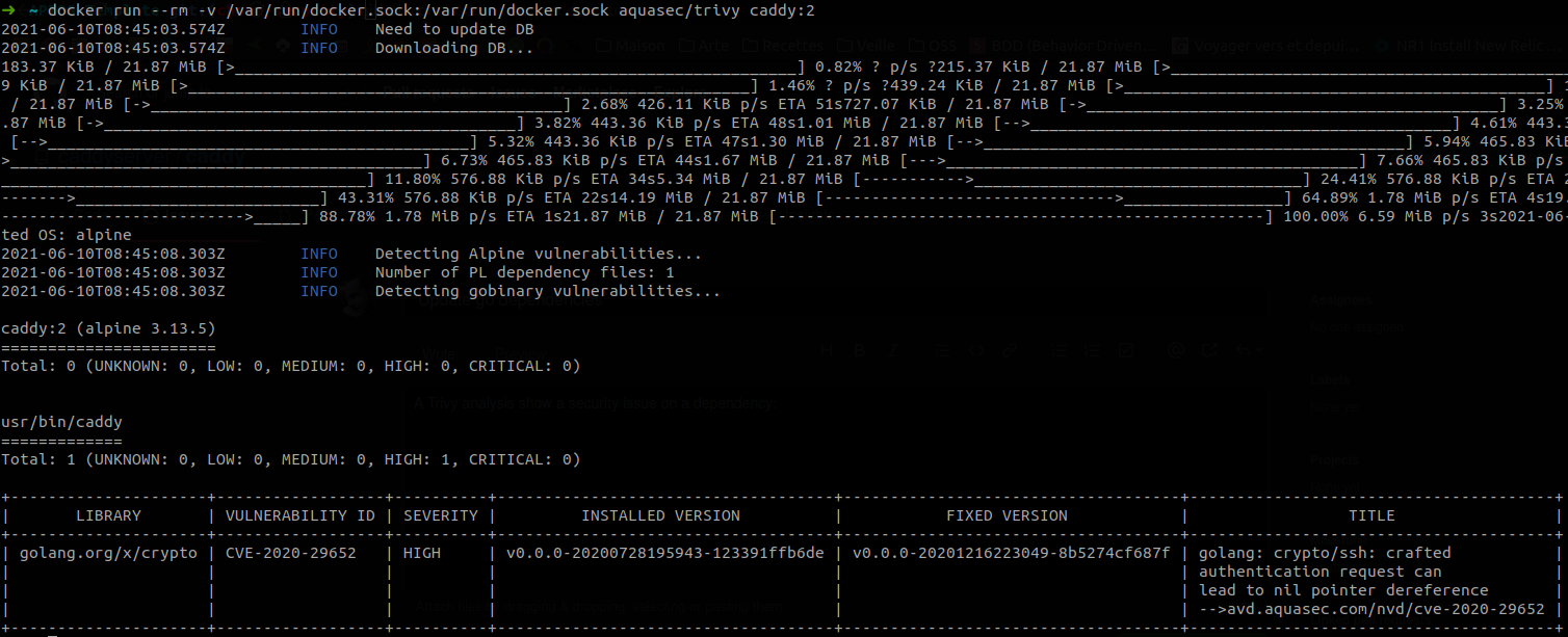 Update go dependencies · Issue #4200 · caddyserver/caddy · GitHub