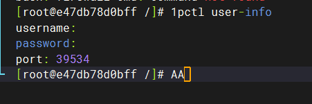 [BUG]Windows docker下 安装1panel 无法生成账号密码，而且不能修改端口号 · Issue #394 · 1Panel-dev/1Panel · GitHub