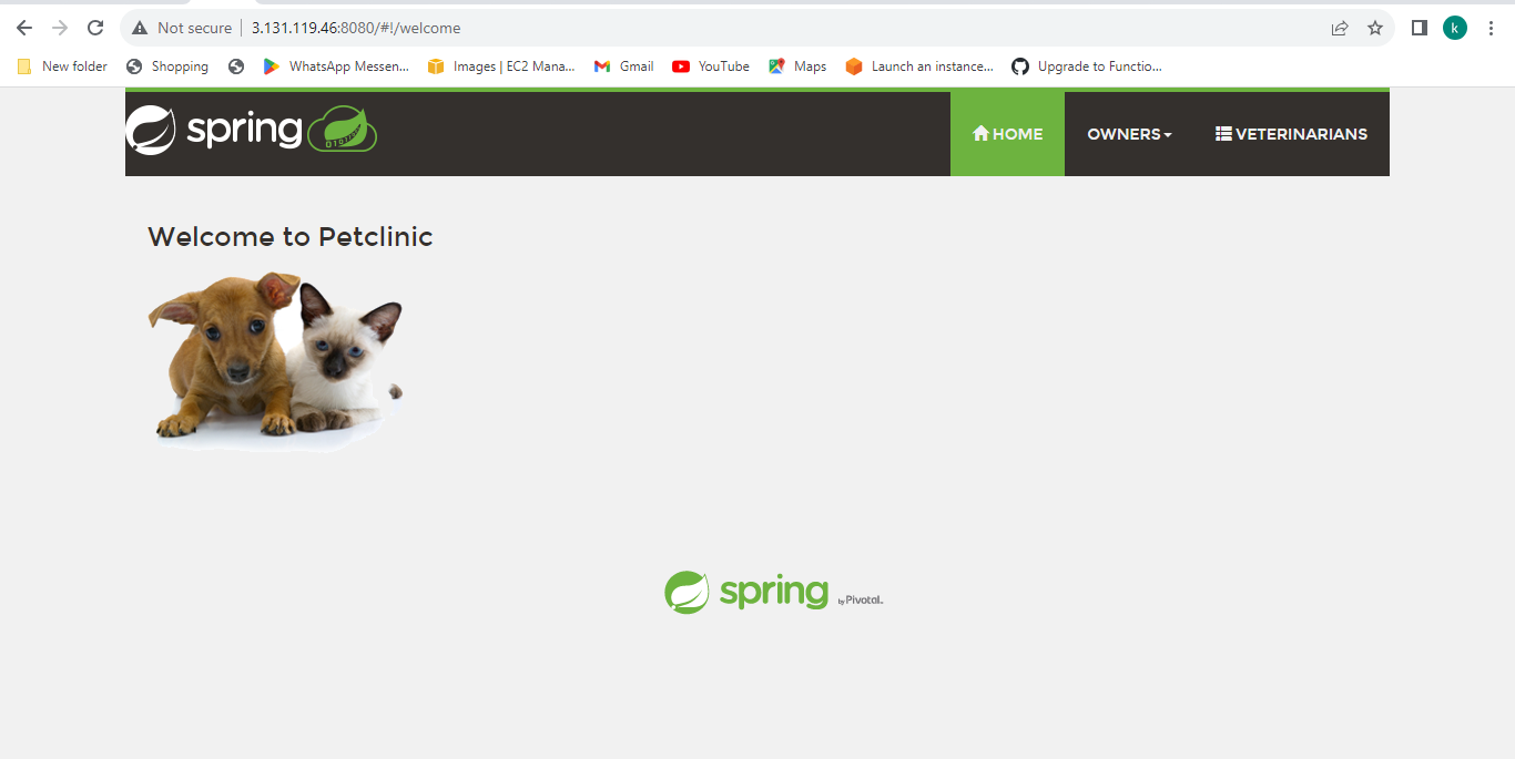 Facing issue in loading spring-petclinic microservices with multi-node configuration · Issue ...