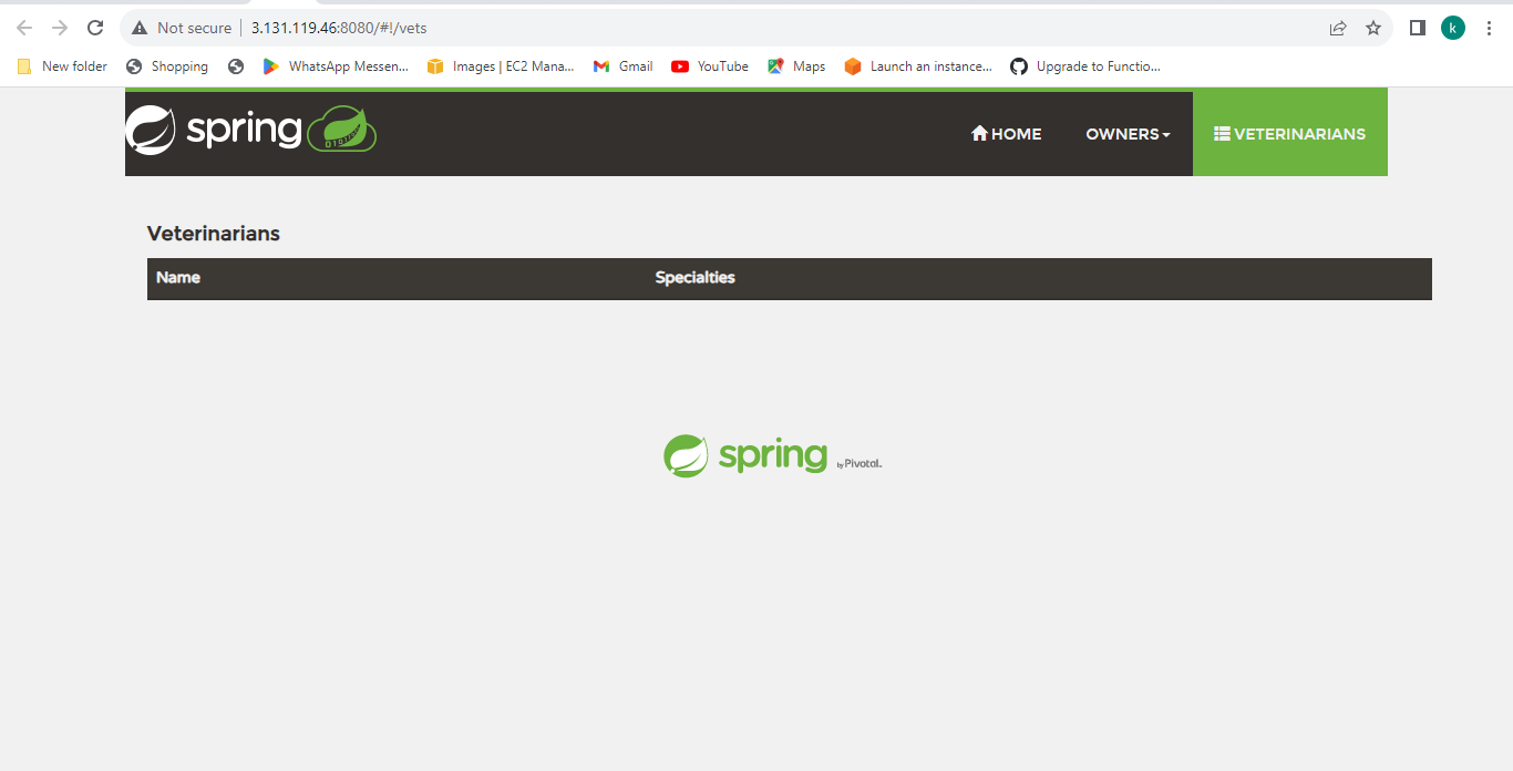 Facing issue in loading spring-petclinic microservices with multi-node configuration · Issue ...