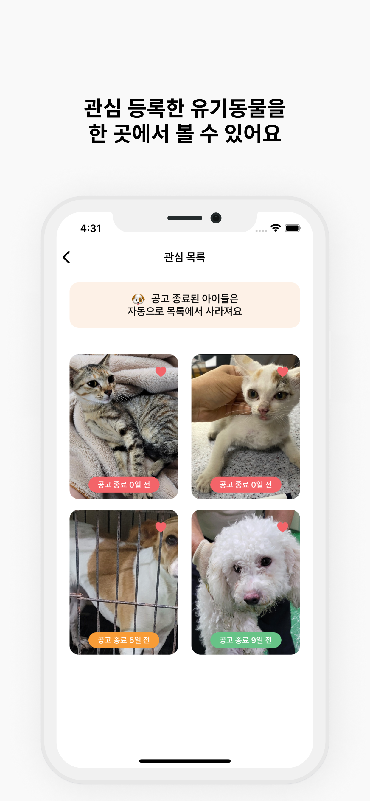 GitHub - DeveloperAcademy-POSTECH/MC3-STUDI-REBORN