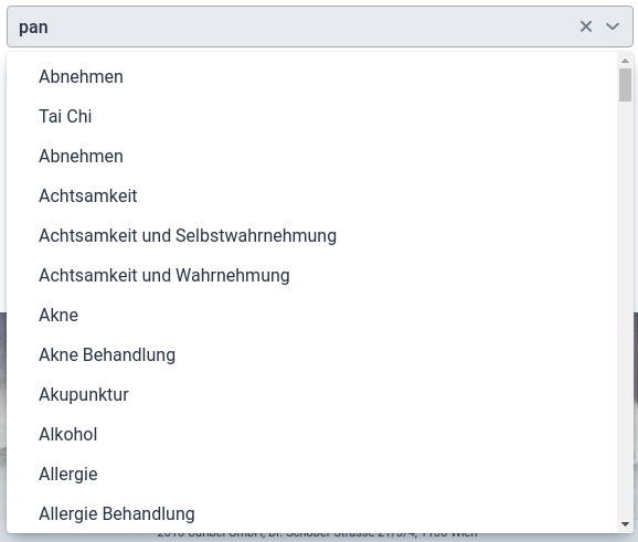 Combobox Filtering Issue Items Not Filter After Getting Focus · Issue 789 · Vaadin Vaadin