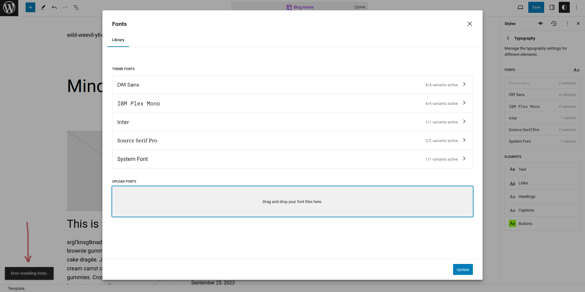 Font library: add support for detailed error messaging in API and UI · Issue #54777 · WordPress ...