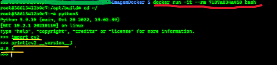 GitHub - carlinhoshk/buildando_opencv_docker