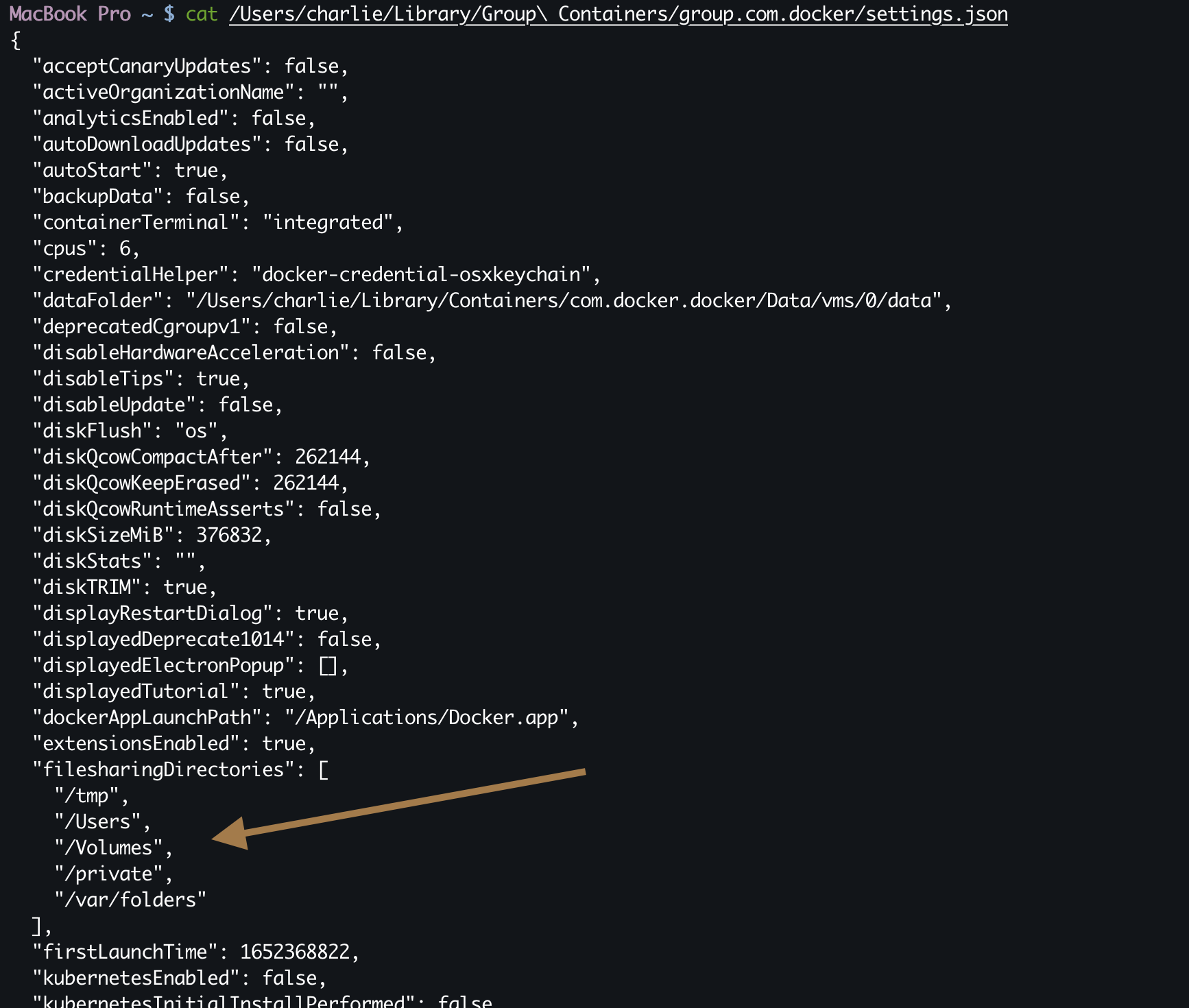 Exegol Image fails to start on Mac · Issue #104 · ThePorgs/Exegol · GitHub