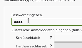 cursor not visible when displaying password · Issue #5498 · keepassxreboot/keepassxc · GitHub