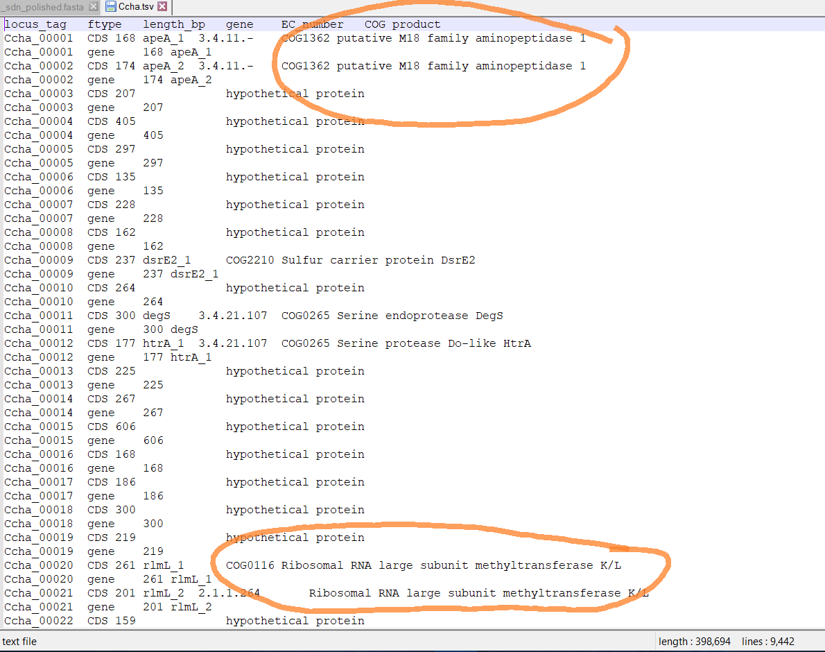 Different contigs between two assembly runs · Issue #1005 · marbl/canu ...