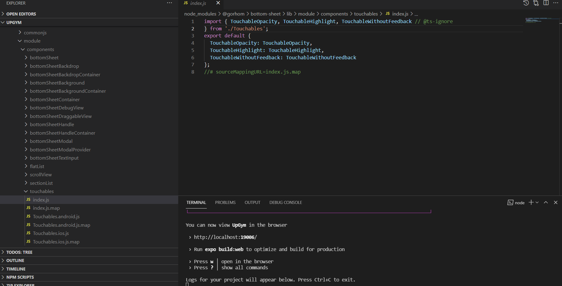 Can T Resolve Touchables · Issue 519 · Gorhom React Native Bottom Sheet · Github
